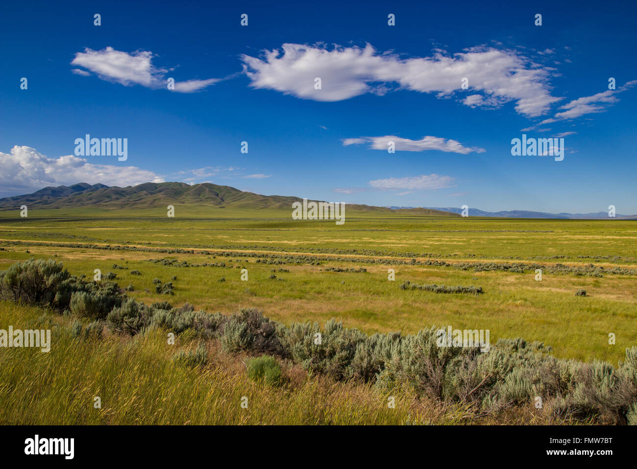 Grasslands in northern Utah Stock Photo - Alamy
