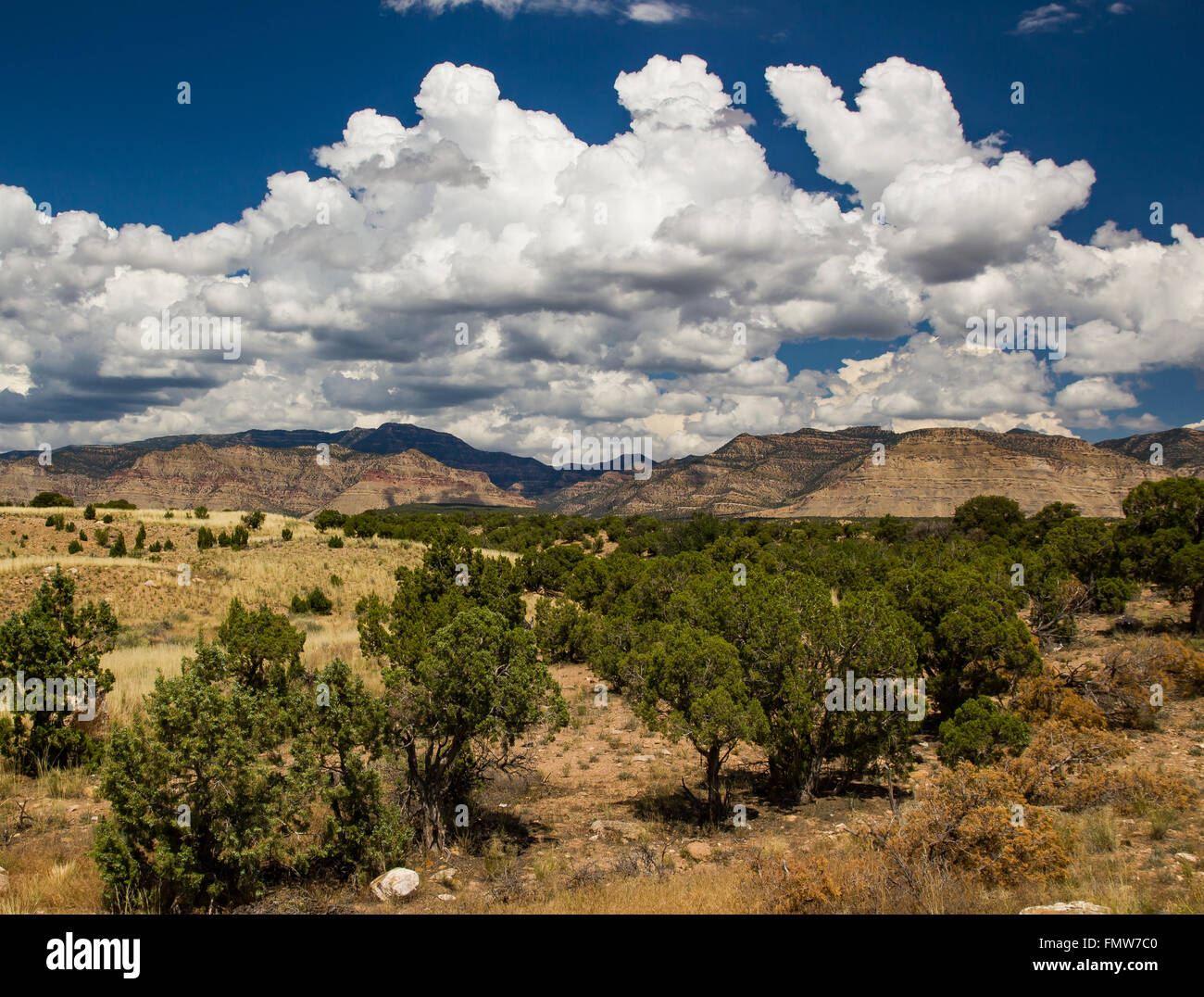 Central Utah desert Stock Photo - Alamy
