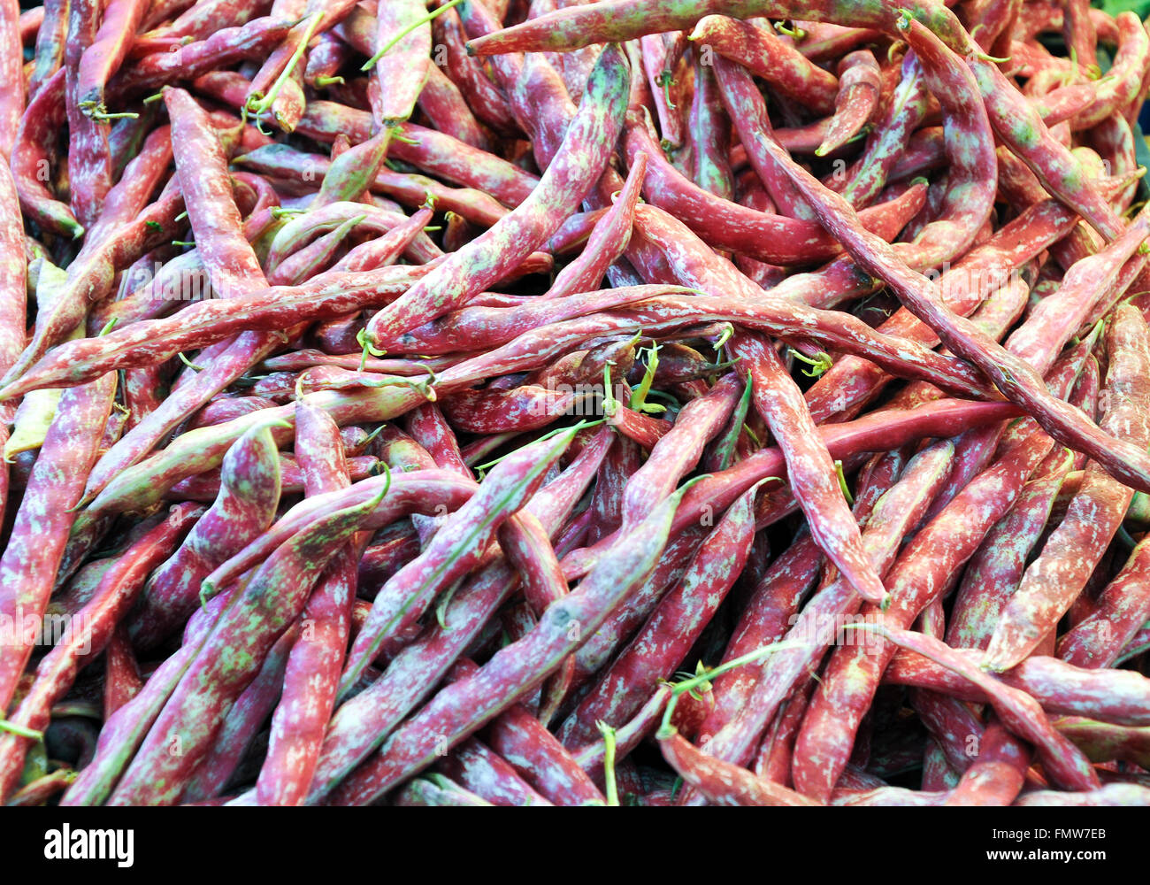 Group of borlotti beans ready to be cooked,italy Stock Photo - Alamy