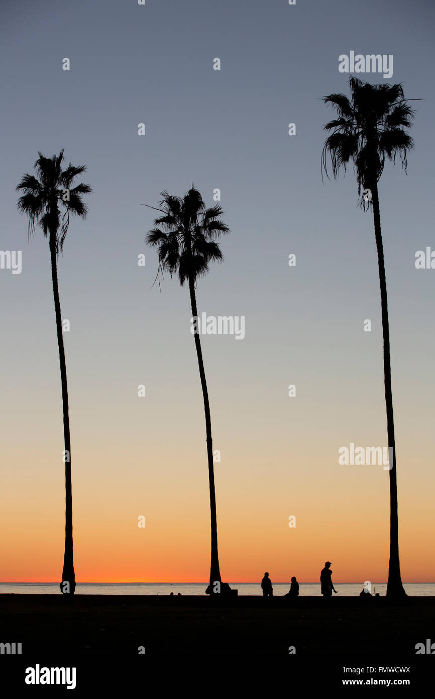 California beach sunset palm trees hi-res stock photography and images ...