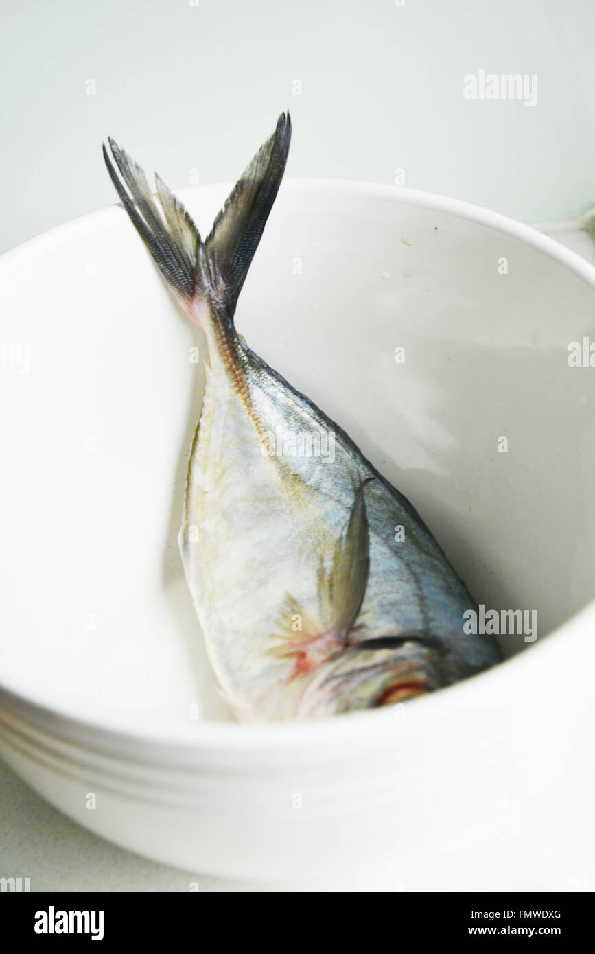 Fish, Seafood Still Life Shot Stock Photo - Alamy