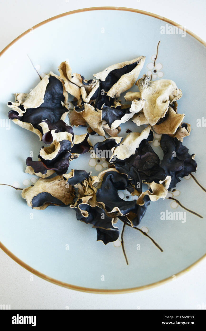 Chinese fungi (Fungus Stock Photo - Alamy