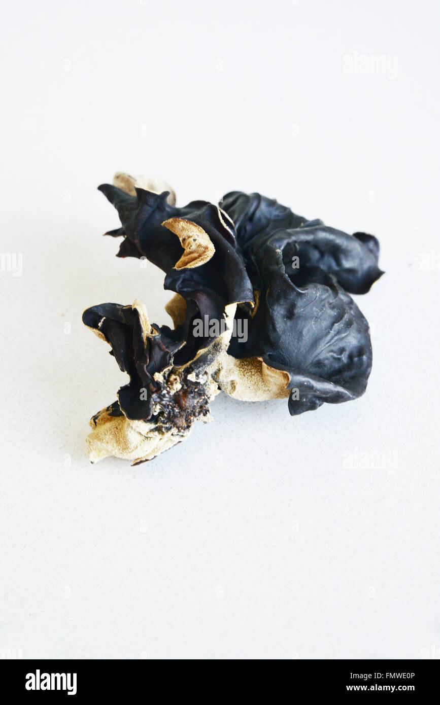 Chinese funghi (Fungus Stock Photo - Alamy