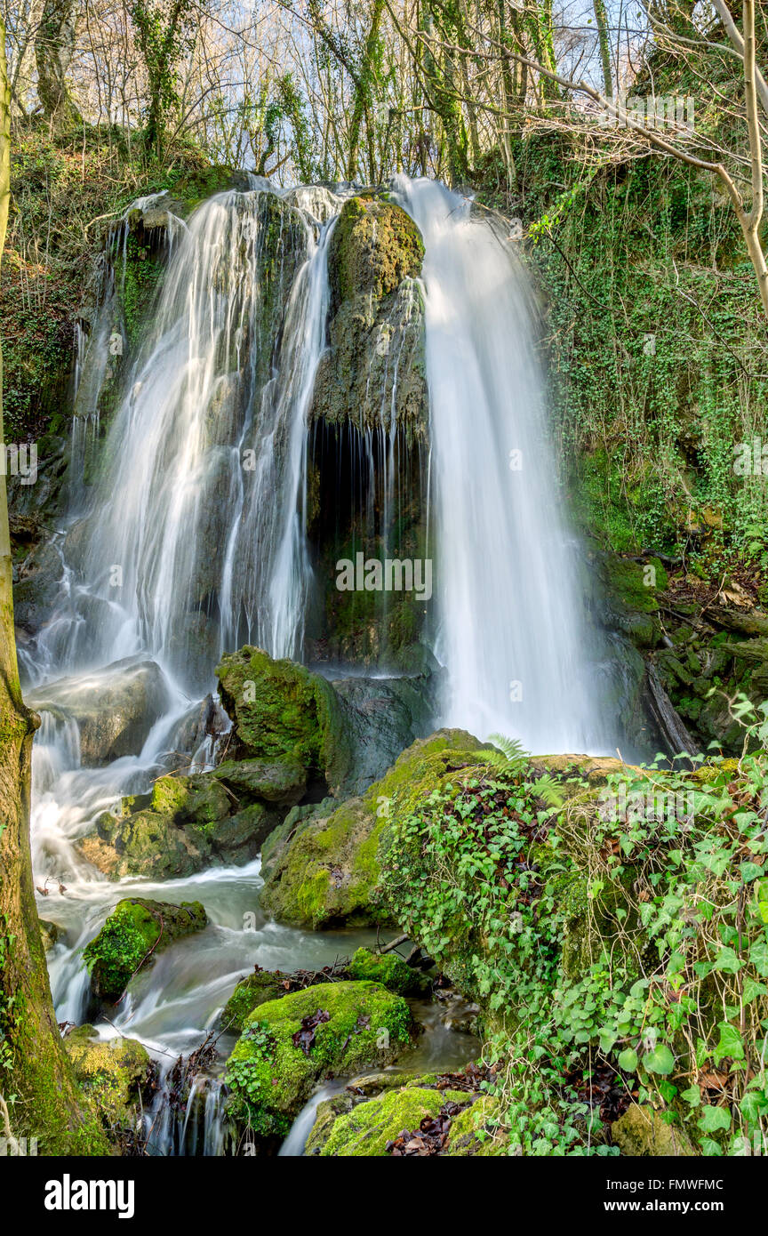 Altube forest hi-res stock photography and images - Alamy