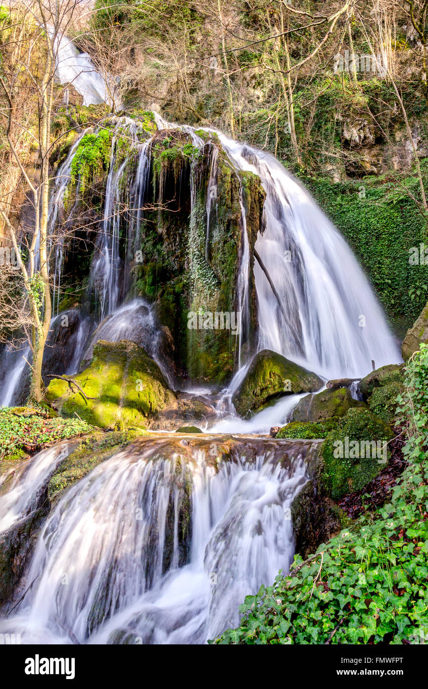 Altube forest hi-res stock photography and images - Alamy