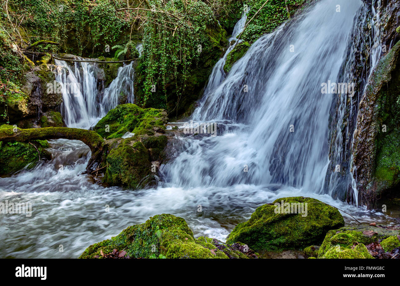 Altube forest hi-res stock photography and images - Alamy