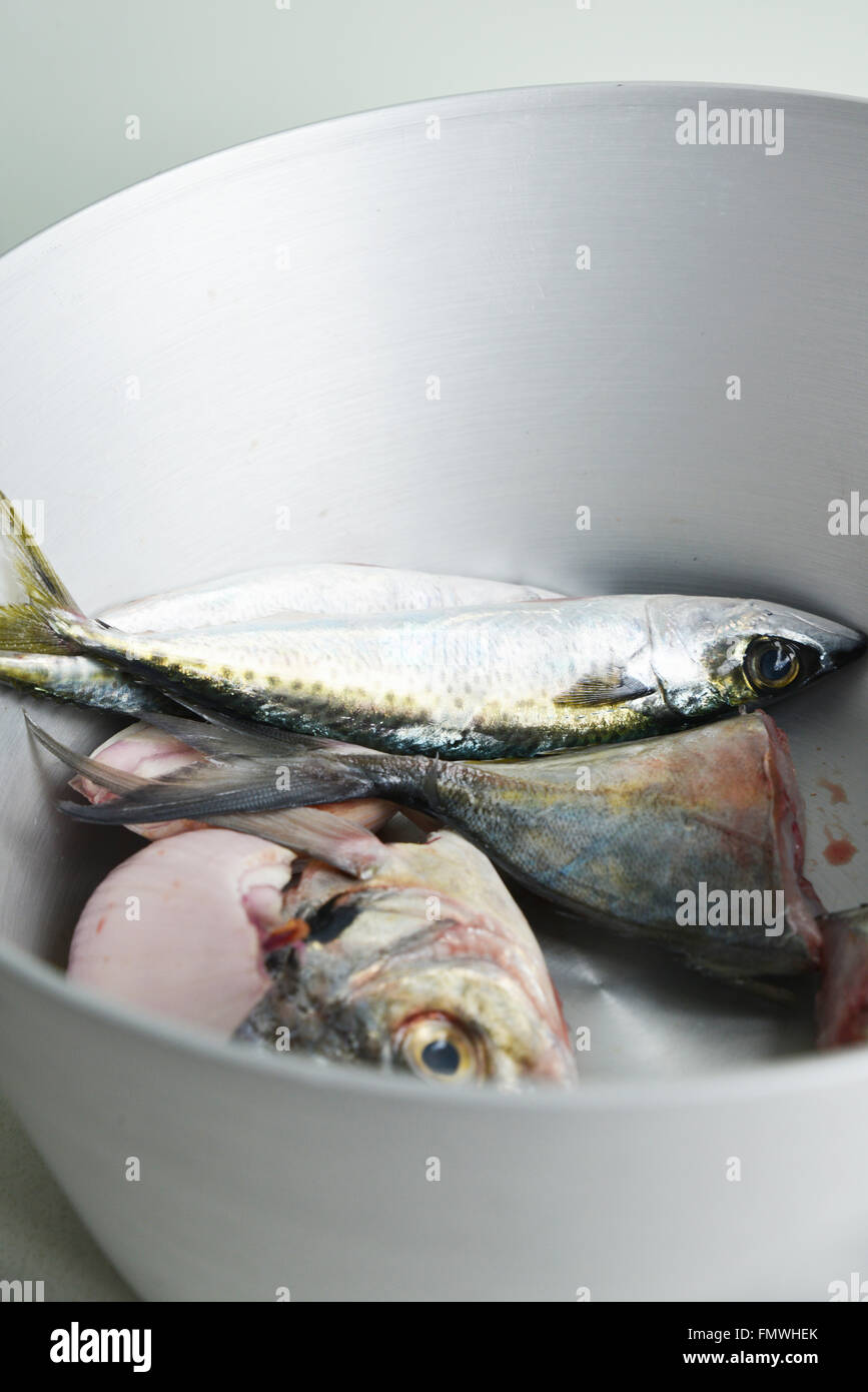 Fish, Seafood Still Life Shot Stock Photo - Alamy