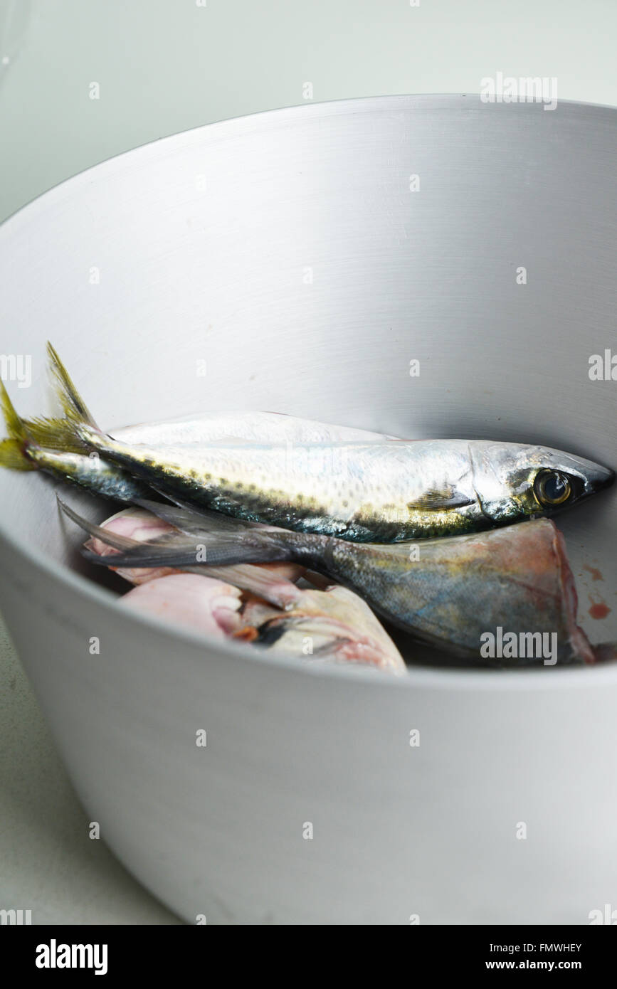 Fish, Seafood Still Life Shot Stock Photo - Alamy