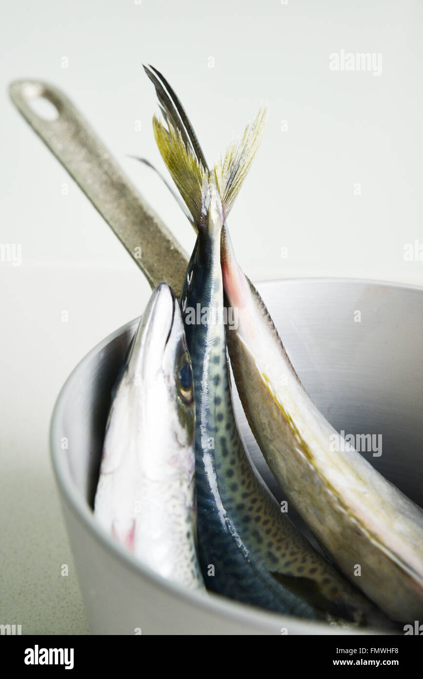 Fish, Seafood Still Life Shot Stock Photo - Alamy