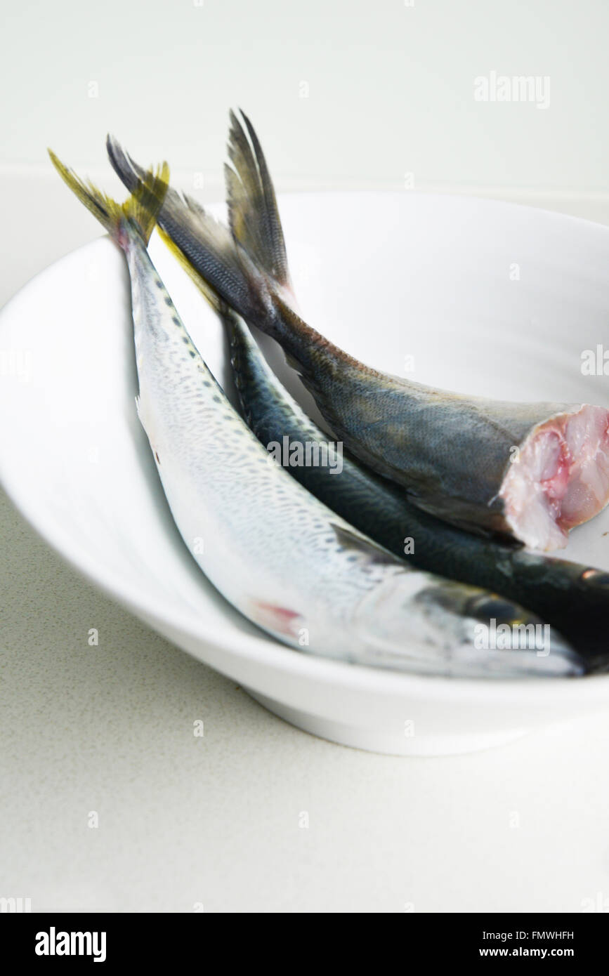 Fish, Seafood Still Life Shot Stock Photo - Alamy