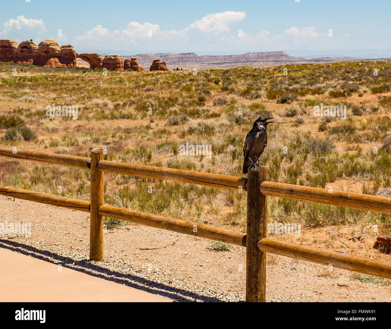 Arches National Park Raven Stock Photo - Alamy