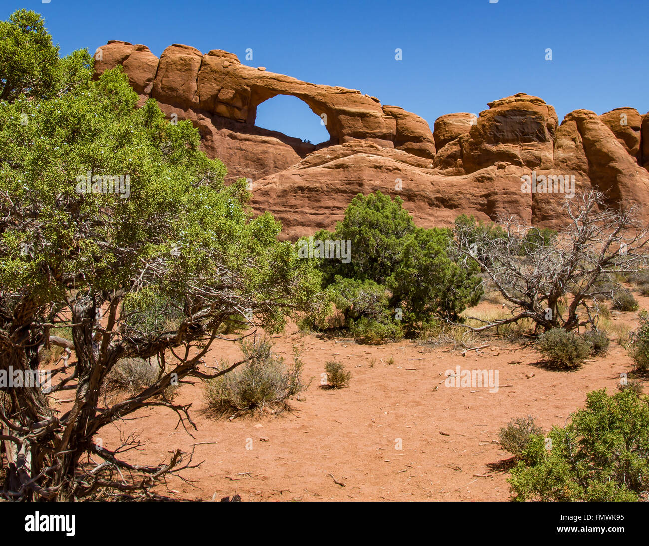 Skyline Arch in Arches National Park Stock Photo - Alamy