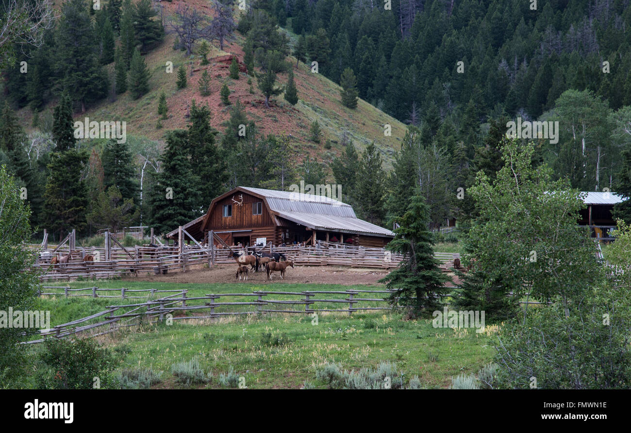 Wyoming Horse Ranch Stock Photo - Alamy