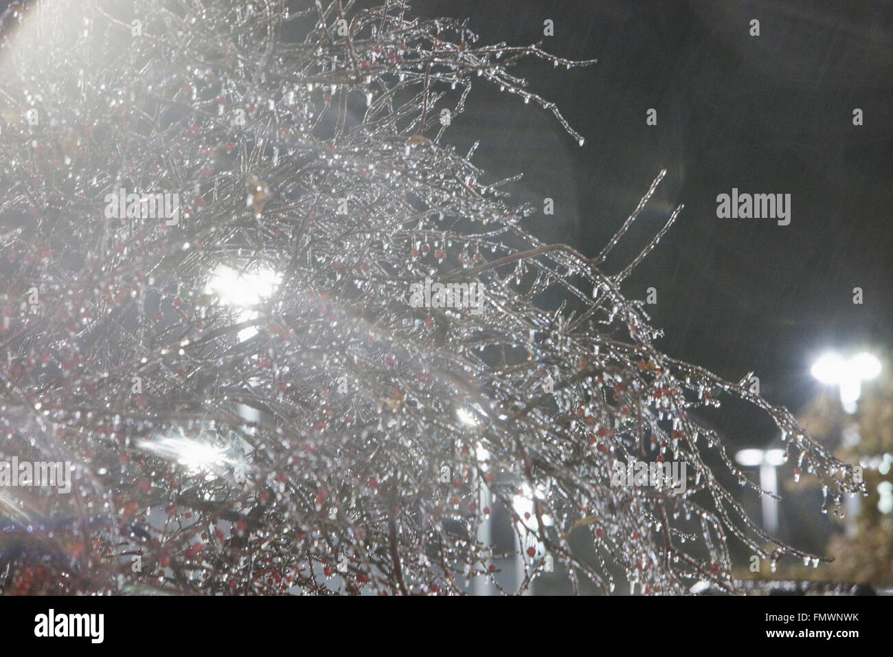 Ice snow storm hi-res stock photography and images - Alamy