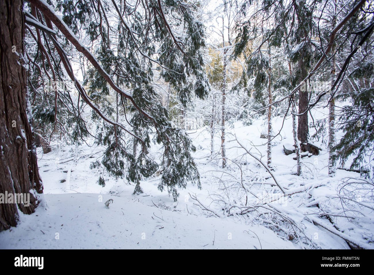 Hanging bluff hi-res stock photography and images - Alamy