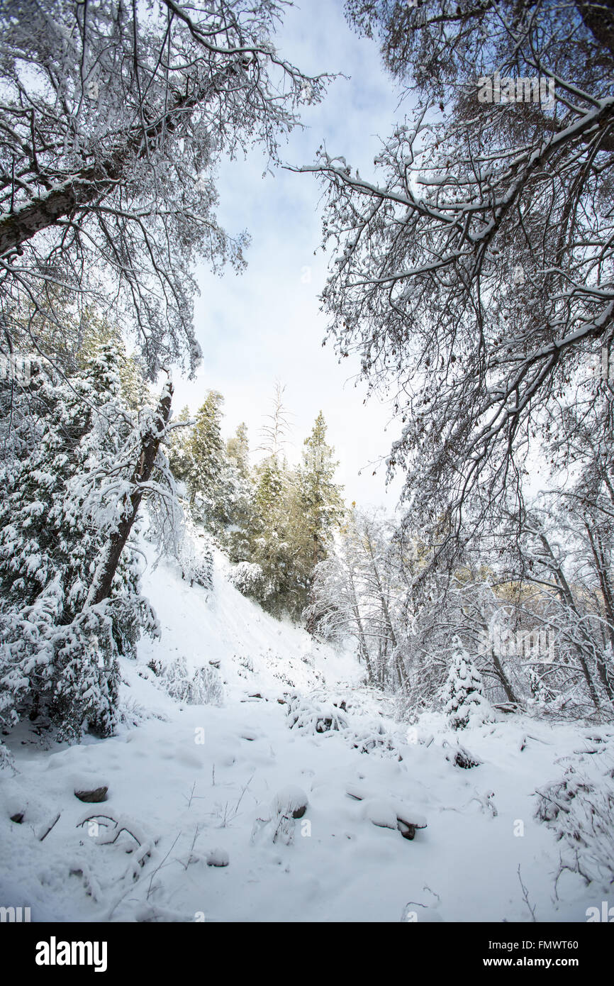 Snow covered mountain Stock Photo - Alamy