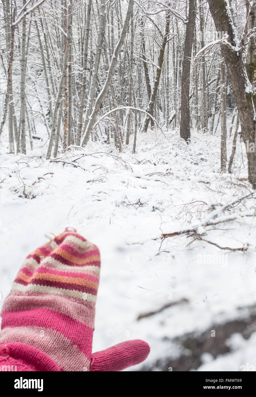 Mitten into the wilderness Stock Photo - Alamy