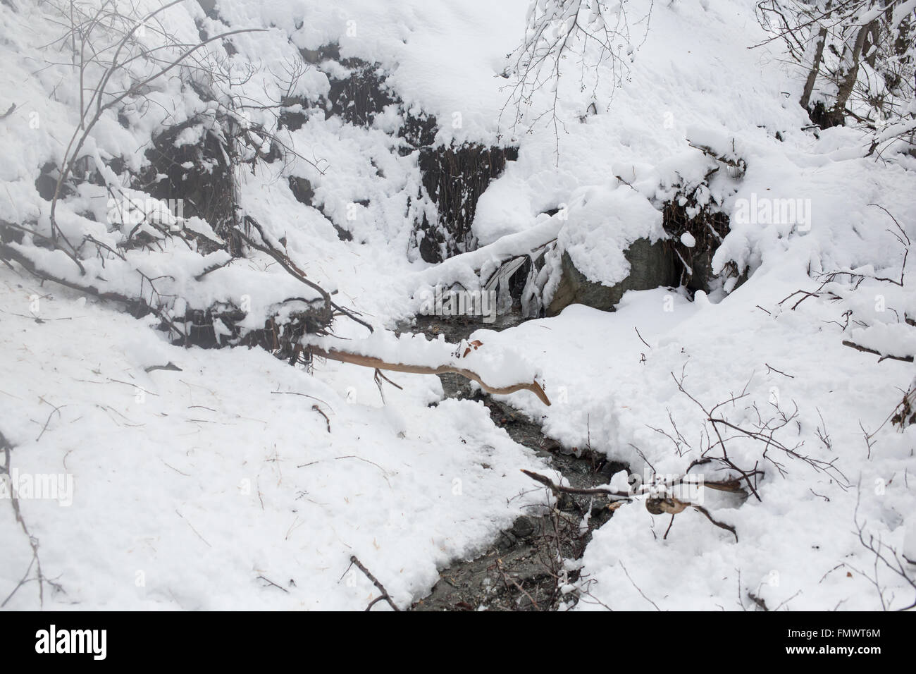 Almost frozen stream in the snow covered countryside Stock Photo - Alamy