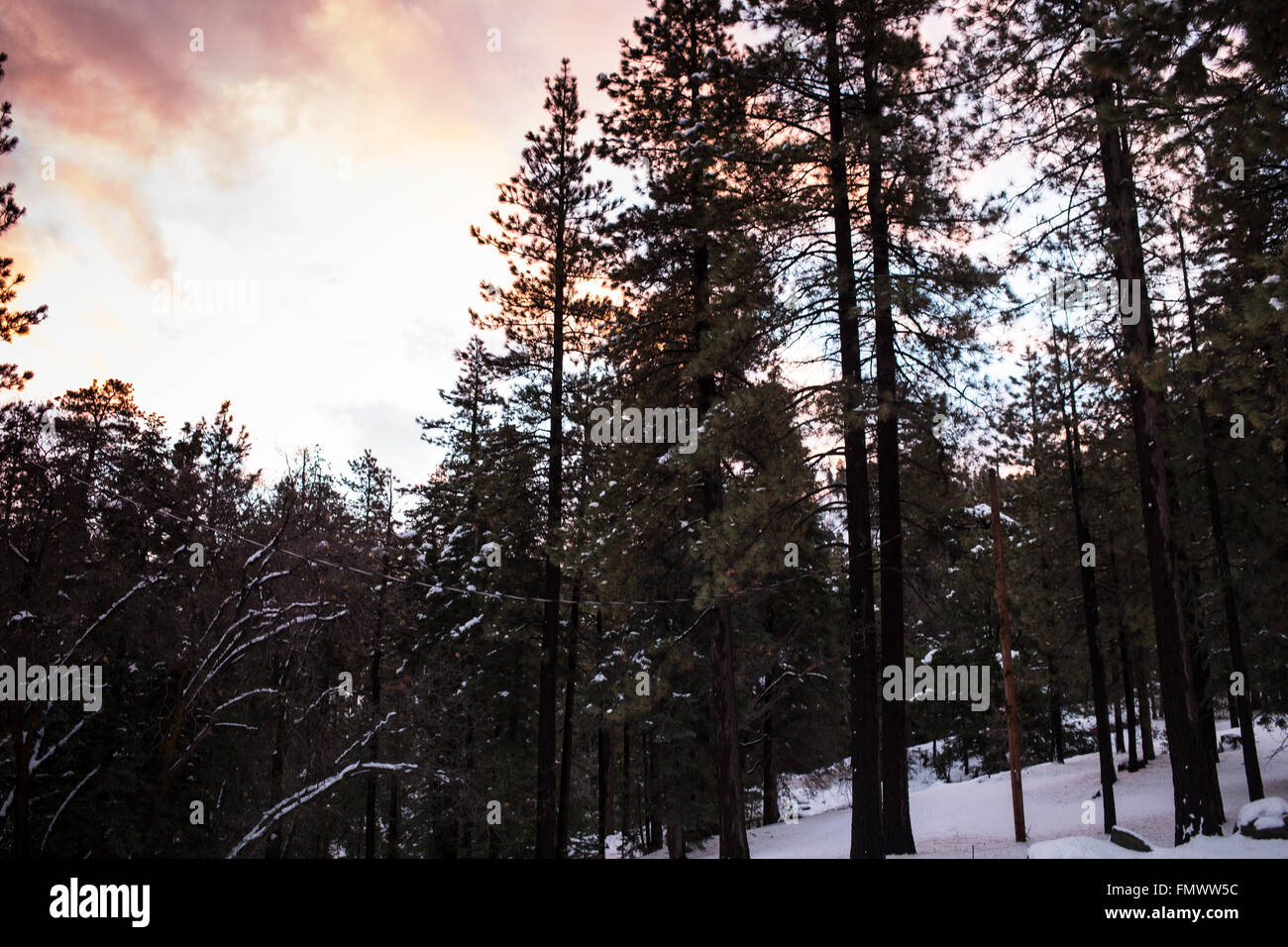 A winter landscape at dawn Stock Photo - Alamy