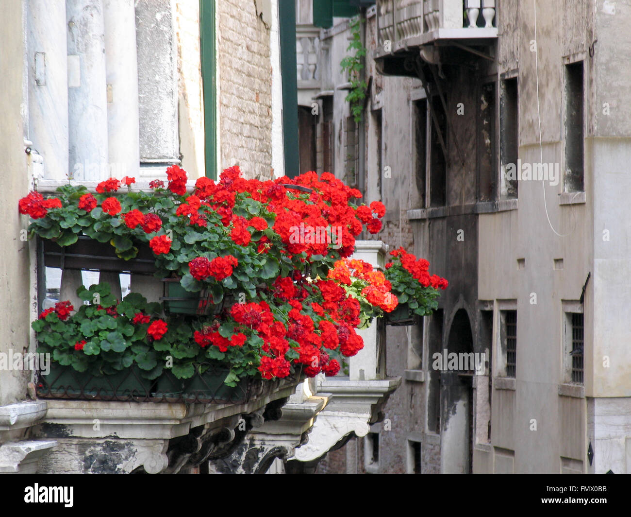Red flowers in flower boxes on a balcony Stock Photo - Alamy