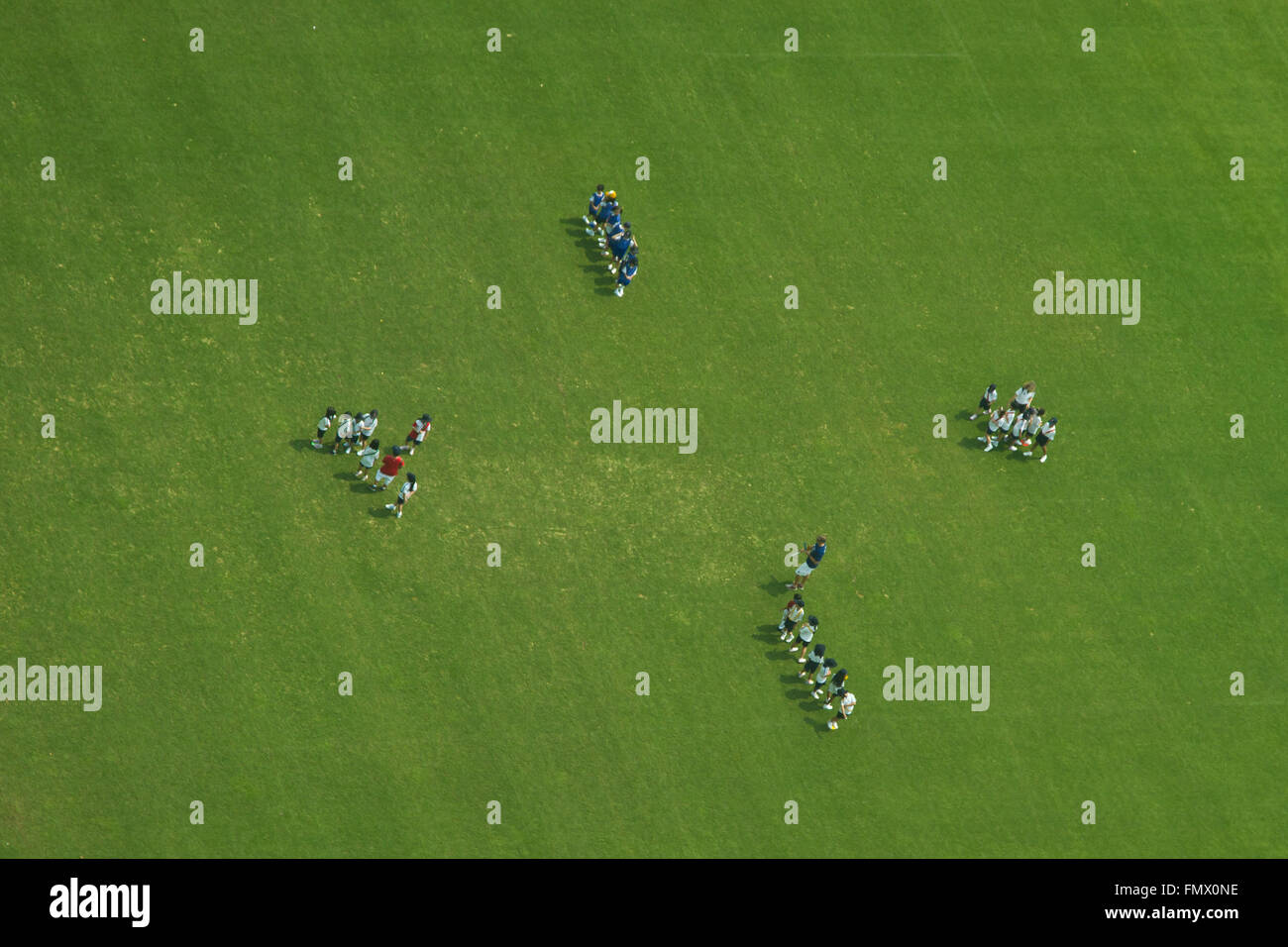 Sport on the green grass in Bangkok Thailand Stock Photo - Alamy