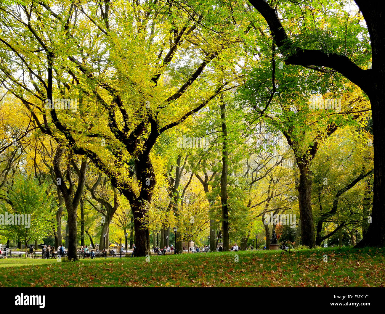 New yor fall hi-res stock photography and images - Alamy