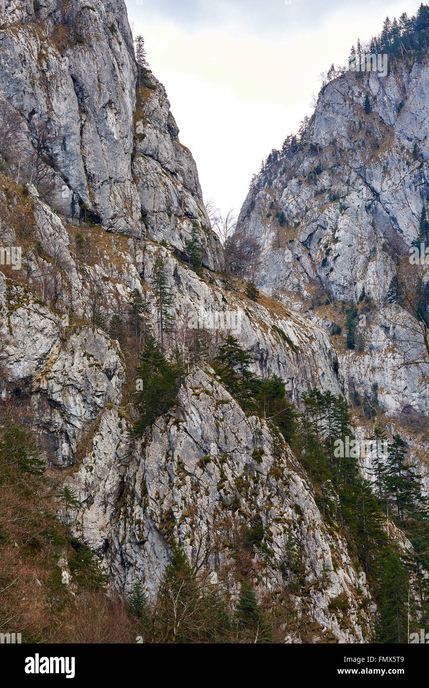 Landscape with limestone mountains and forest in the spring Stock Photo ...