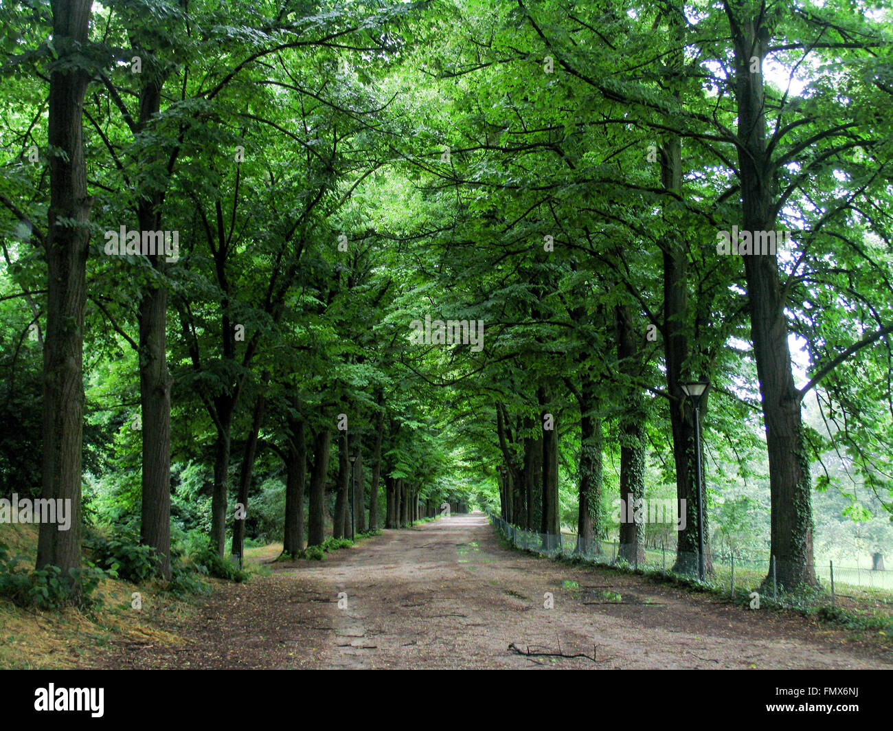 Renaissance walls hi-res stock photography and images - Alamy