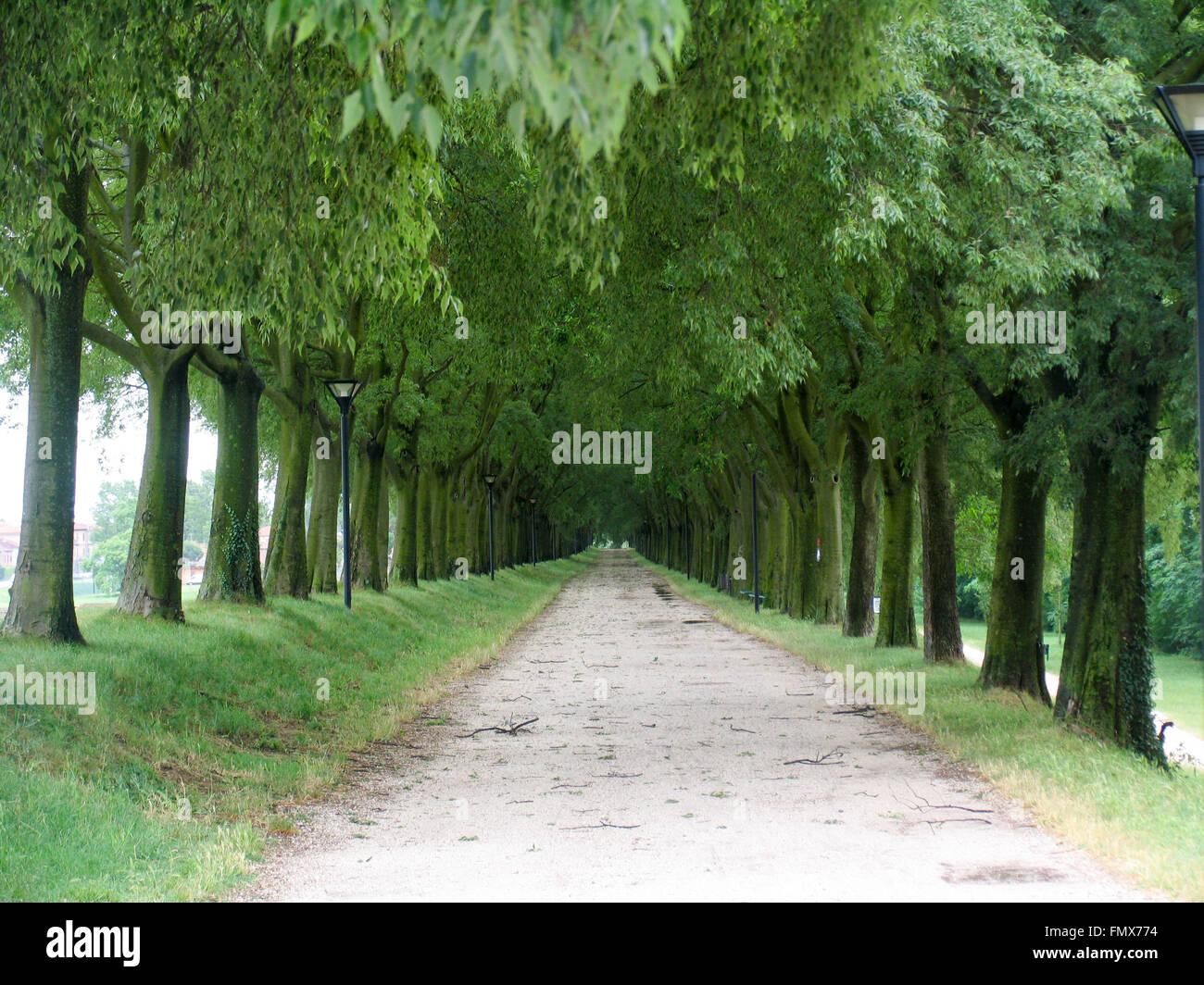 A tree lined path on top of Renaissance walls In Ferrara Stock Photo ...