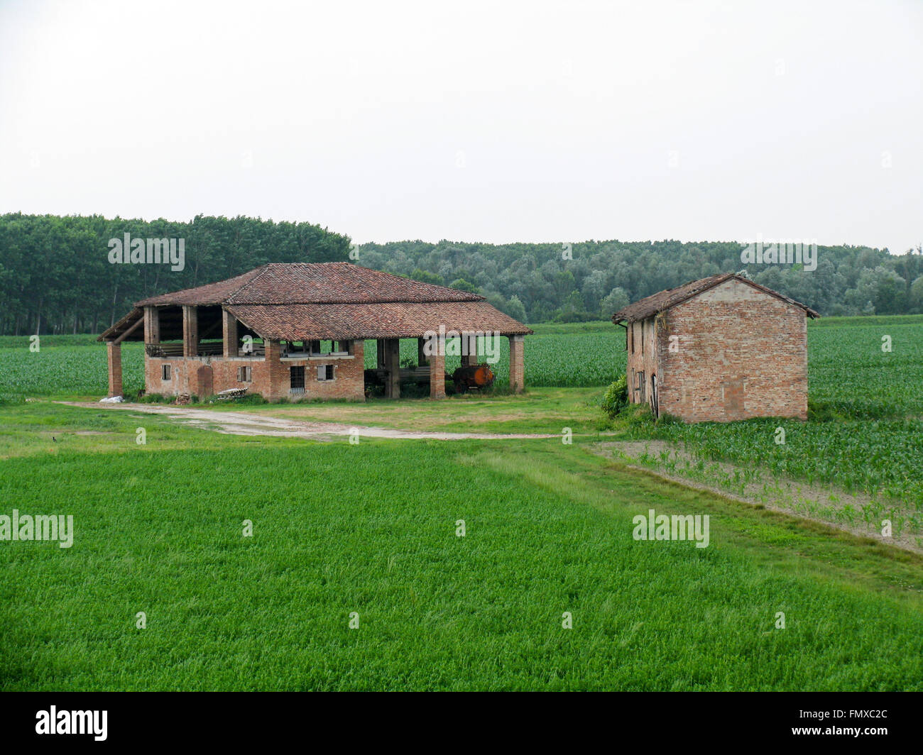Farmhouse and barn in a field of green wheat Stock Photo - Alamy