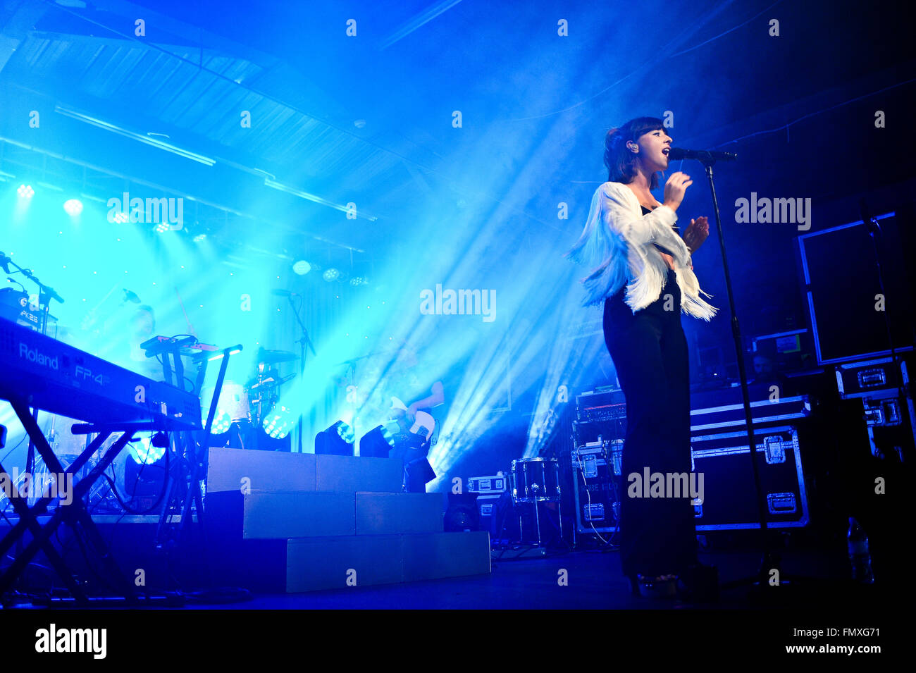Foxes Performing at the Plug Sheffield Stock Photo - Alamy