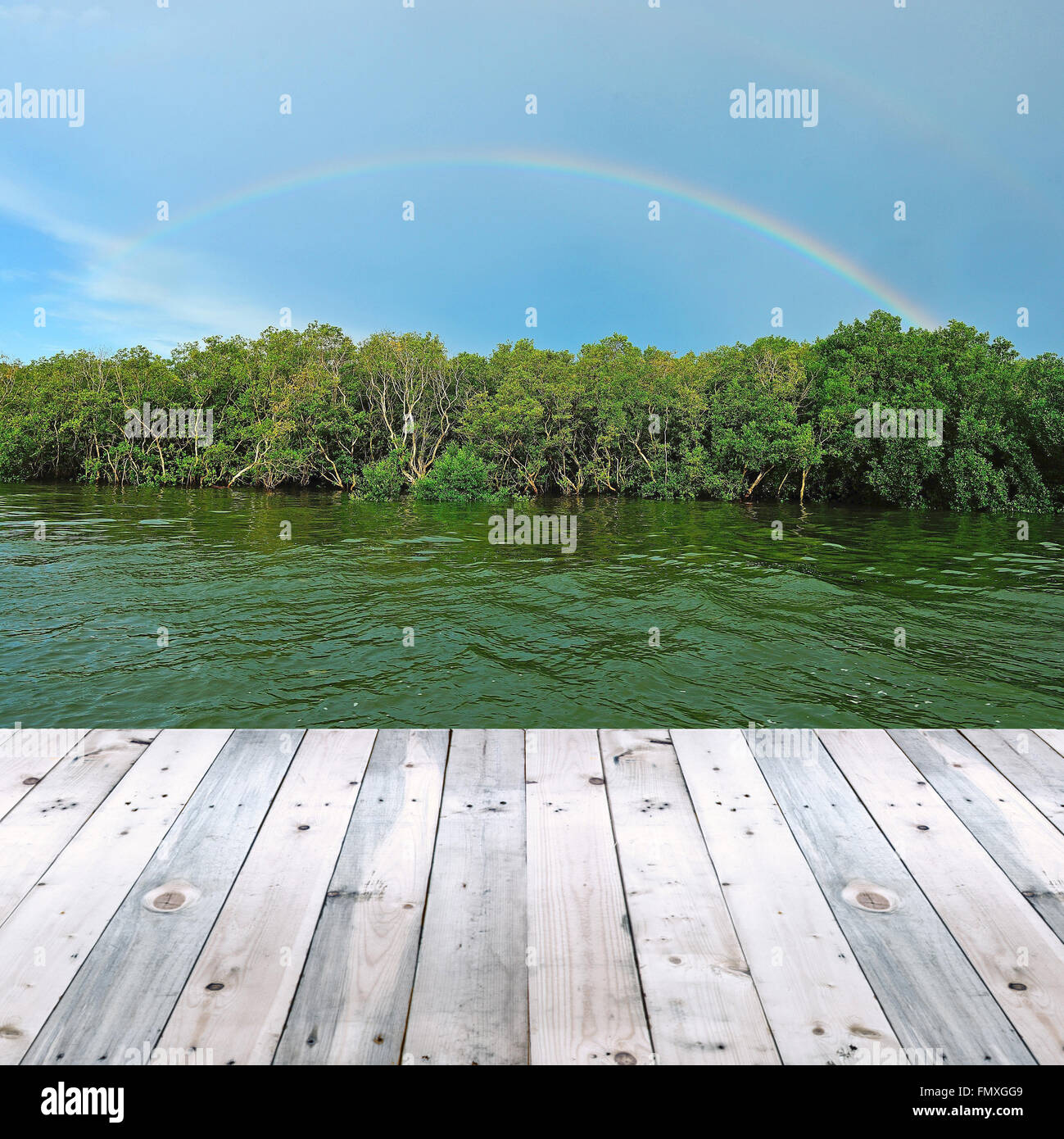 empty wooden plank with rainbow over mangrove background Stock Photo ...