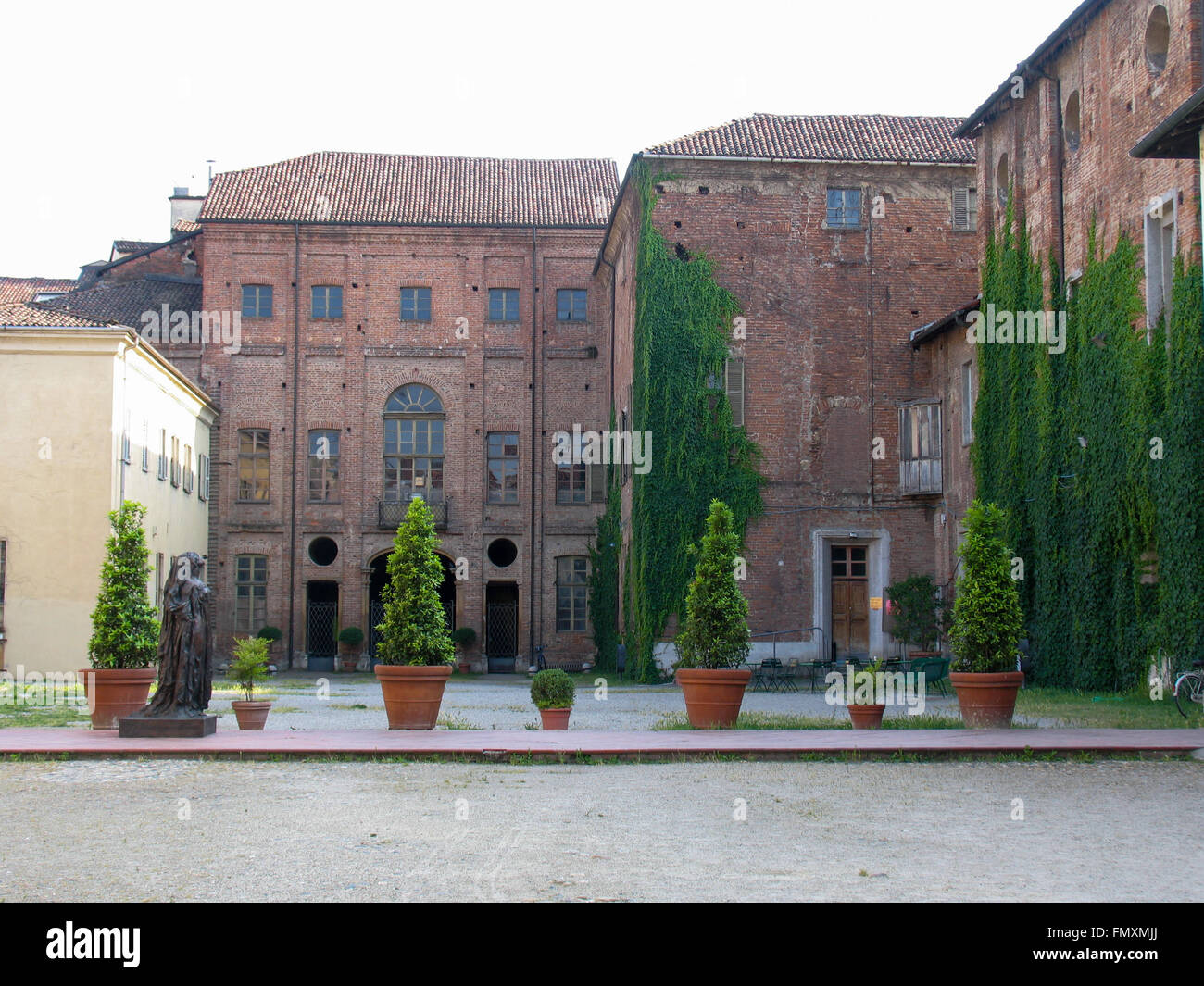 Conifers growing in pots in a piazza Stock Photo - Alamy
