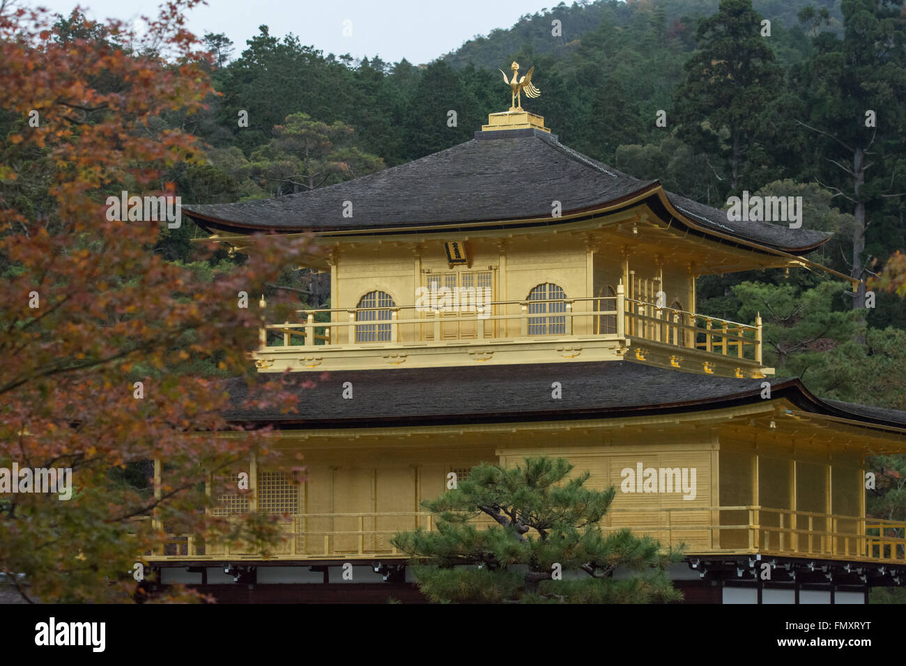 The Golden Pavilion (Kinkaku-ji) of Kyoto, Japan Stock Photo - Alamy
