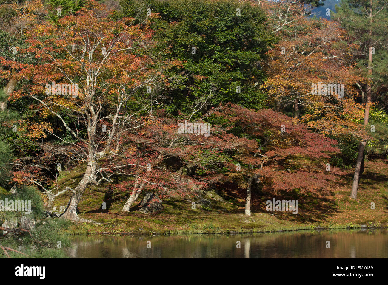 Japan, Kinki Region, Kyoto Prefecture, Kyoto City, Tenryu-ji Temple ...
