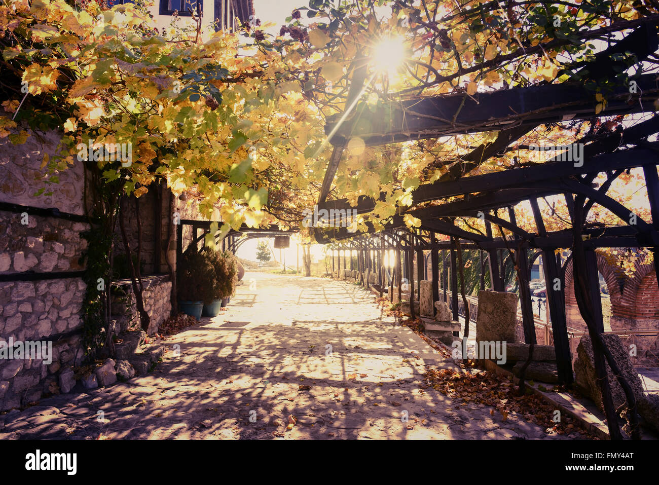 Through autumn in style hi-res stock photography and images - Alamy