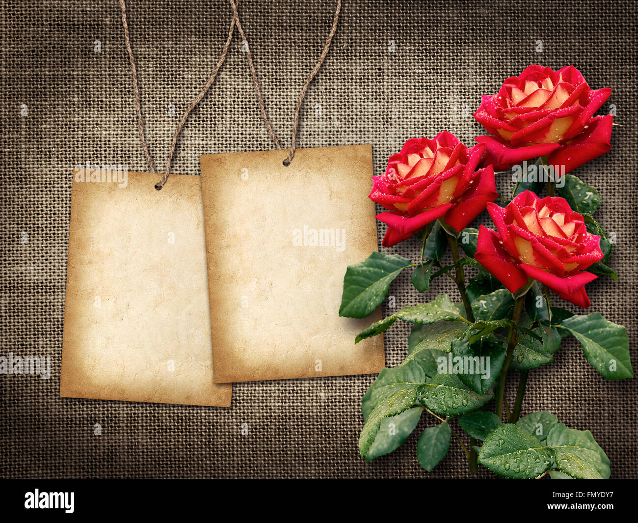 Card for invitation or congratulation with red roses in vintage style ...