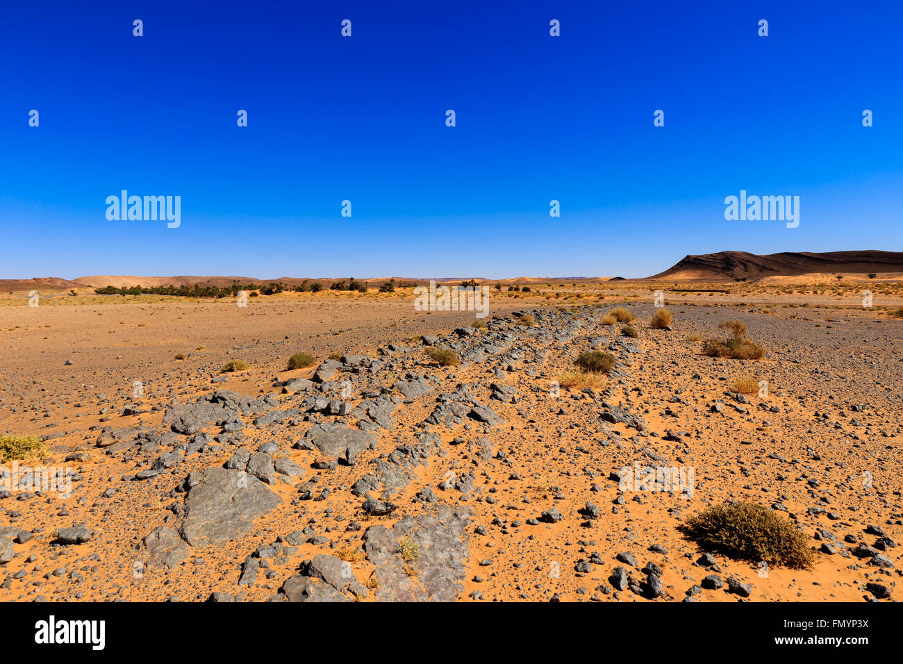 stones in Sahara desert Stock Photo - Alamy