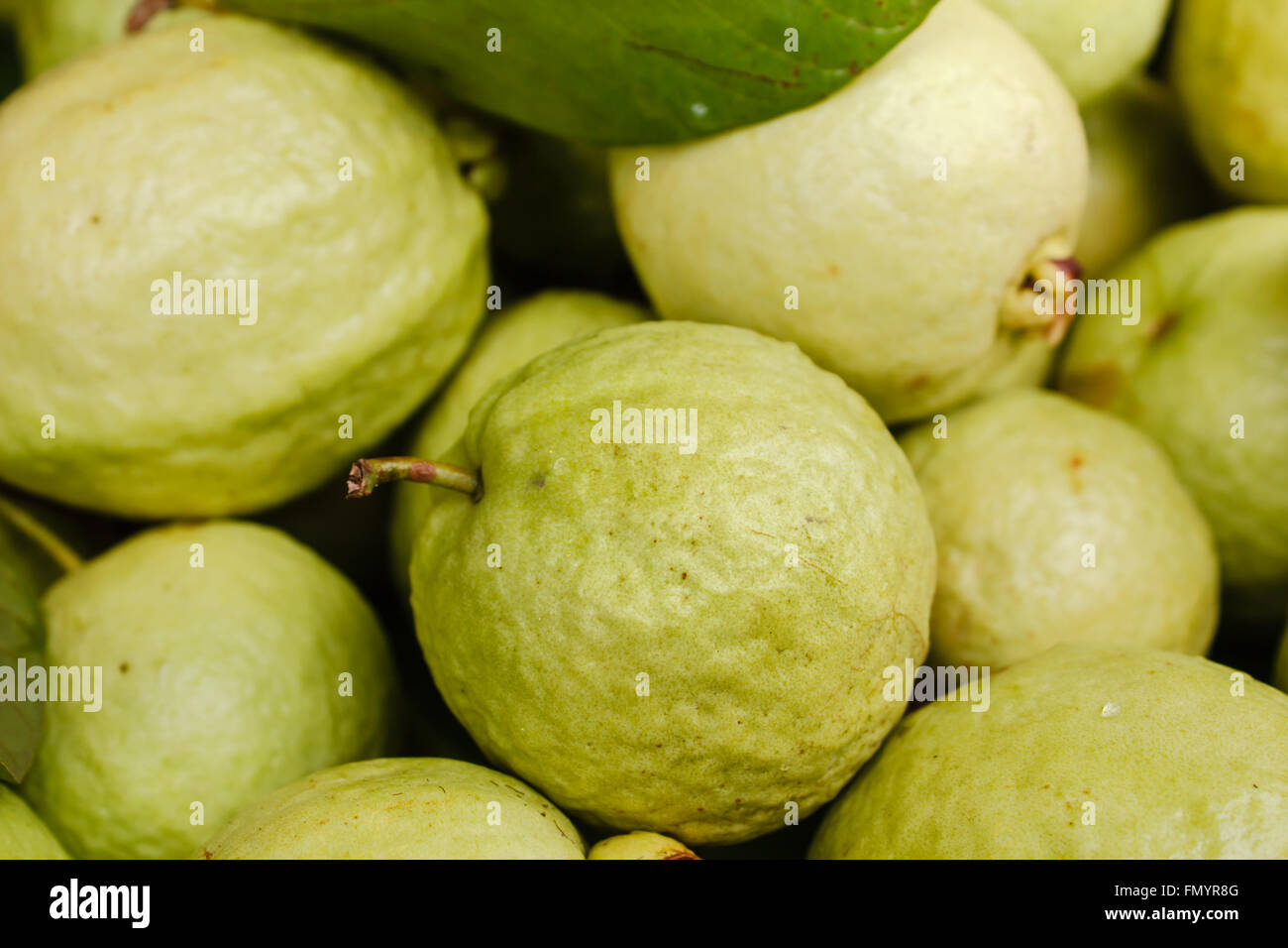 Guava for sale in thailand local market Stock Photo - Alamy
