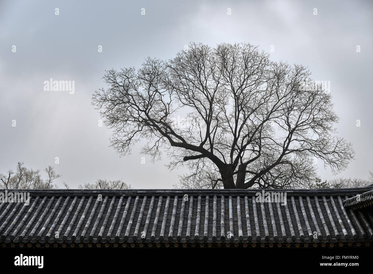 Big roof architecture hi-res stock photography and images - Alamy