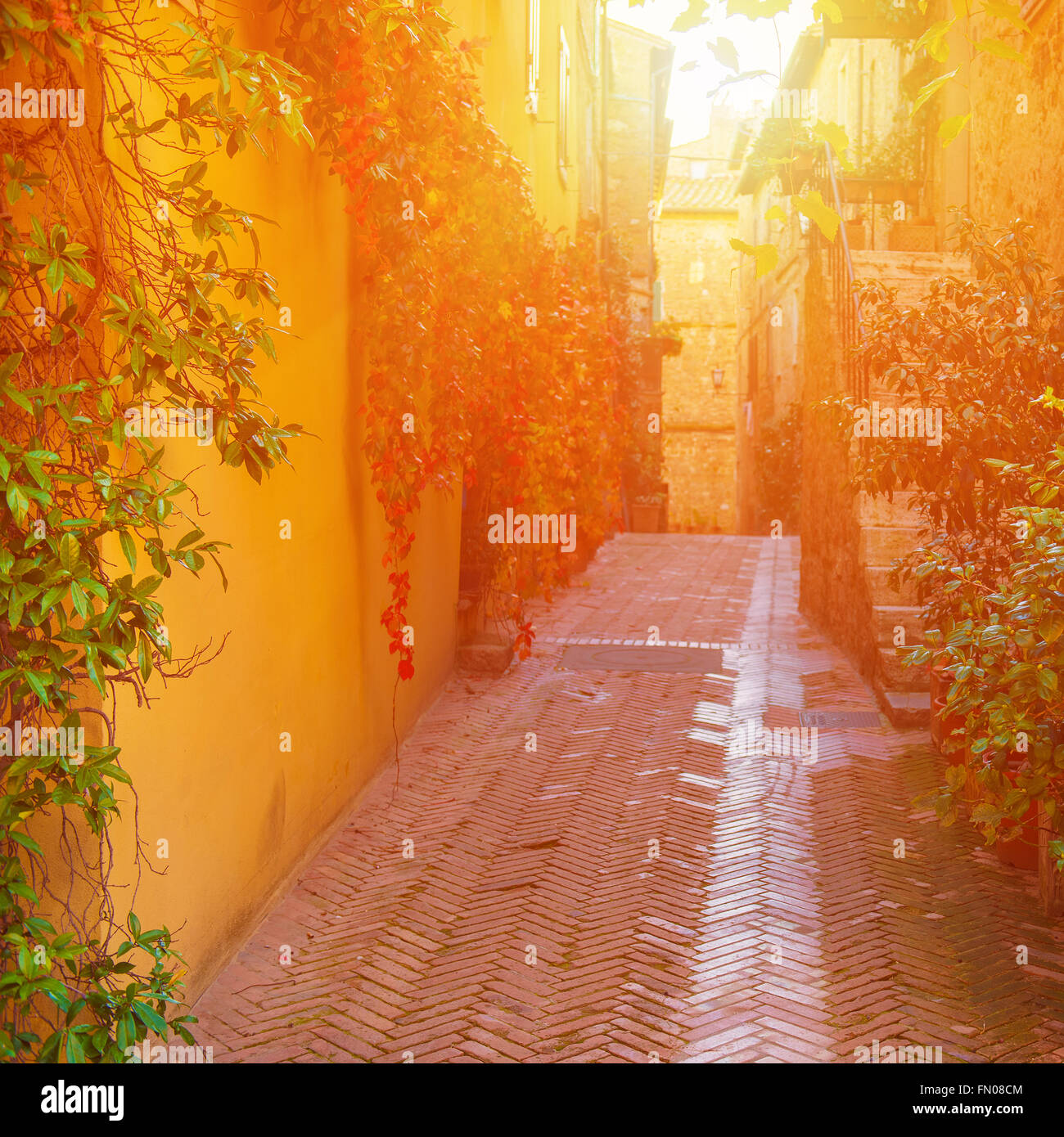 Street of Pienza Stock Photo - Alamy