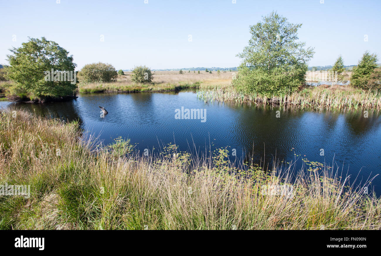 Cors Caron,Tregaron bog,Ceredigion,Wales,U.K Stock Photo - Alamy