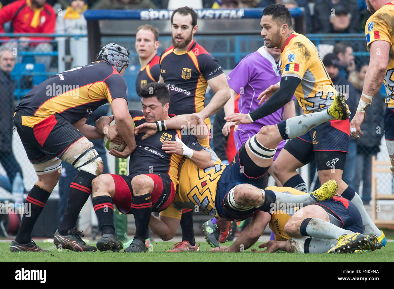 Jeremy fischer hi-res stock photography and images - Alamy