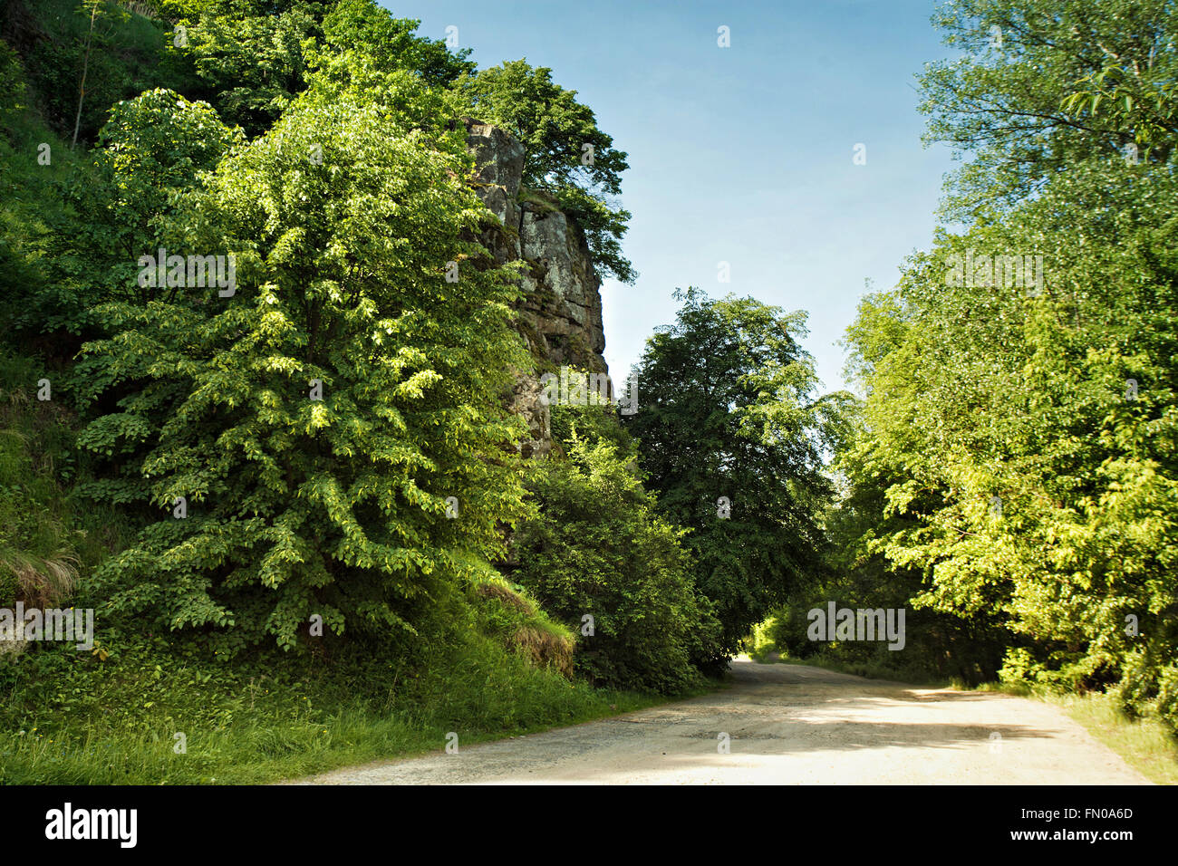 Spring country road near big rock Stock Photo - Alamy
