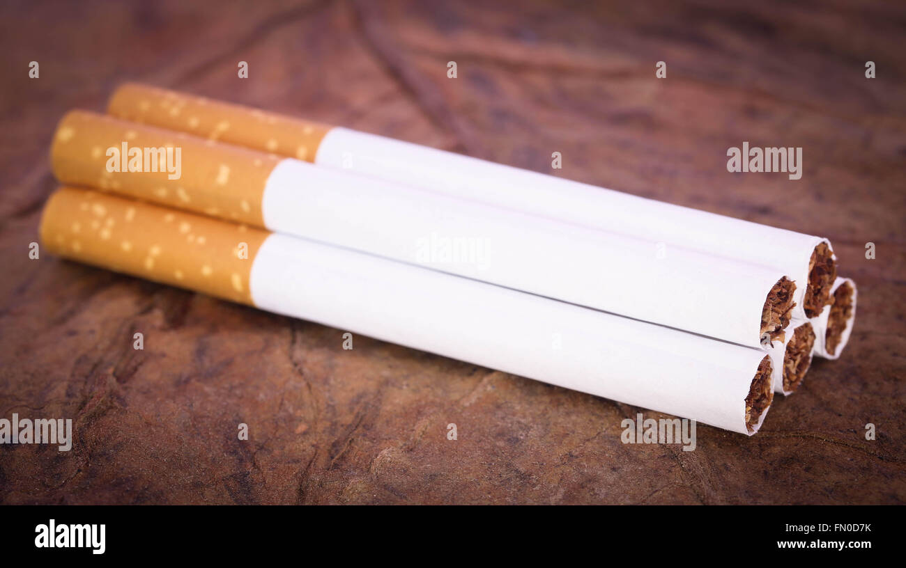 Closeup of filter cigarette on dry tobacco Stock Photo - Alamy