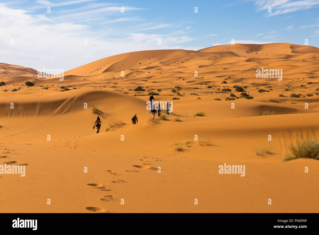 people walk of the desert Stock Photo - Alamy