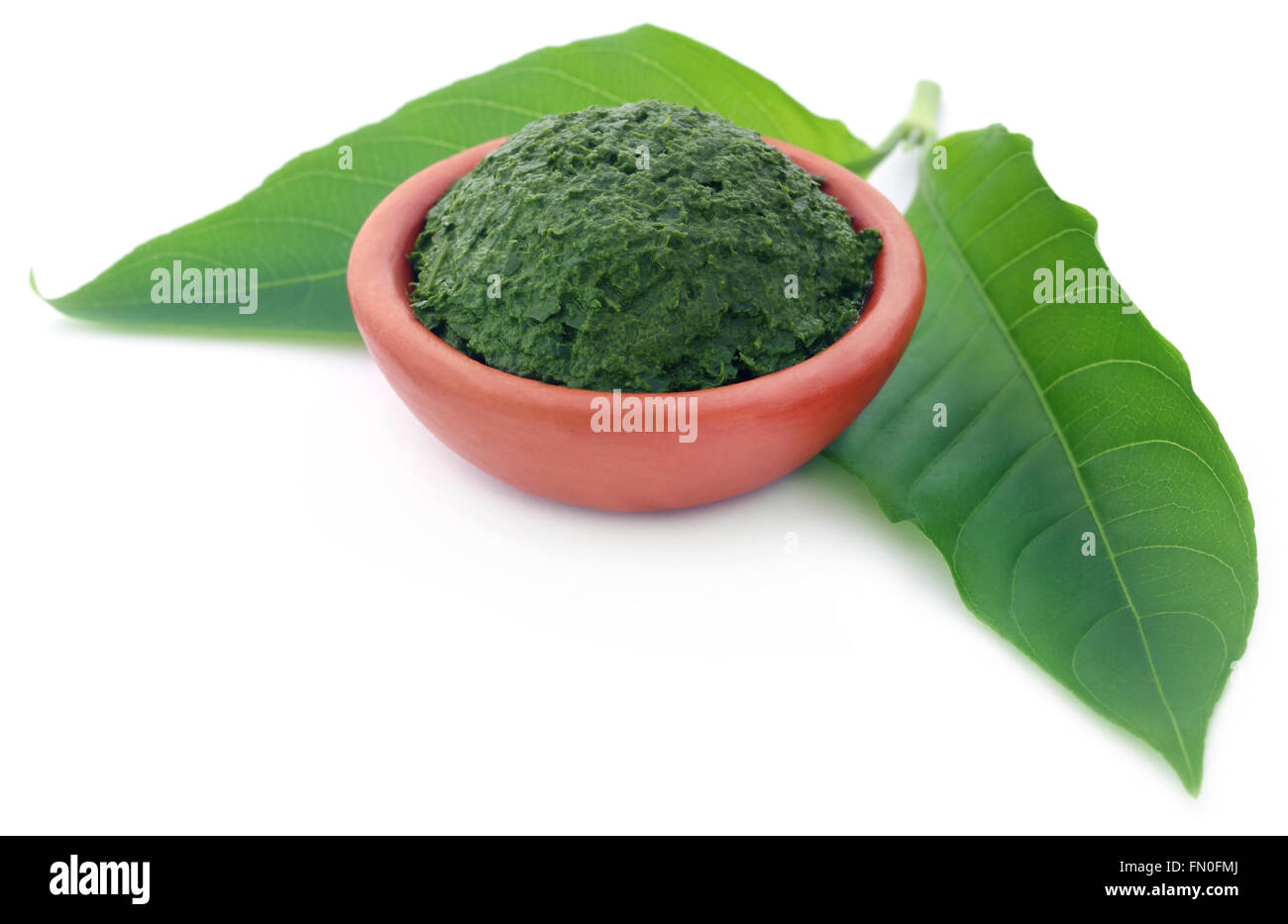 Mashed vitex Negundo or Medicinal Nishinda leaves in a pottery Stock ...