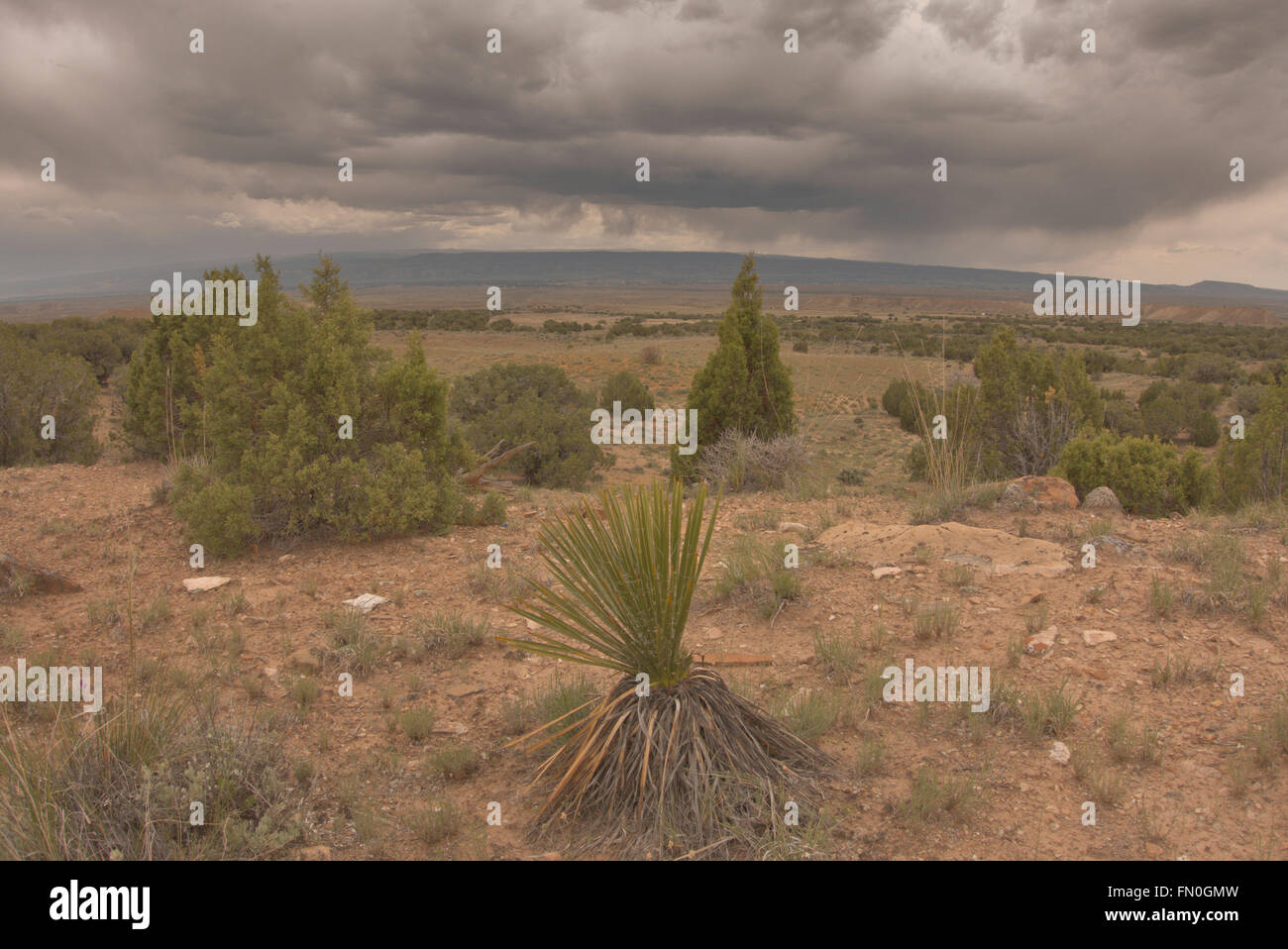 Storm clouds gather over the western Colorado desert Stock Photo - Alamy