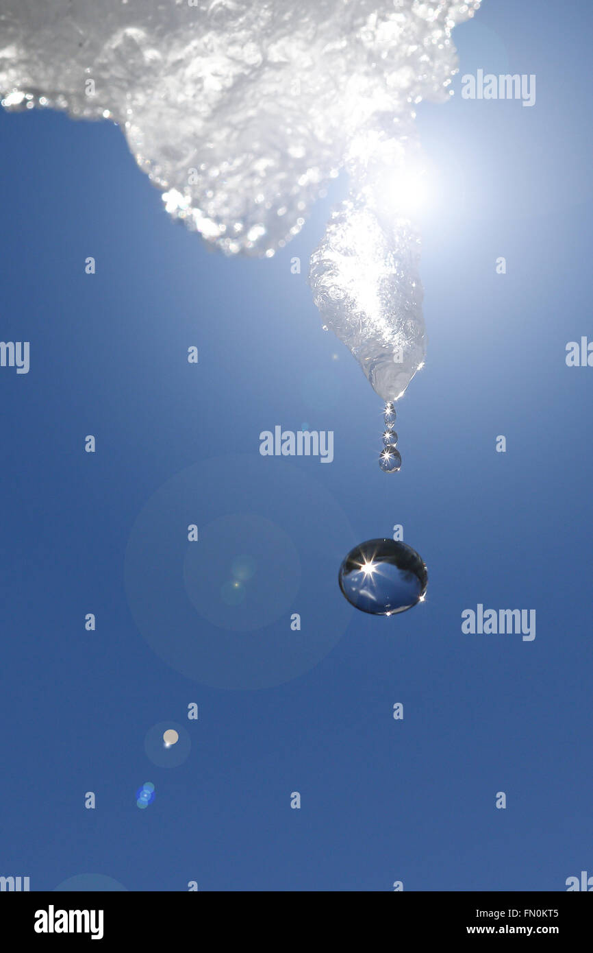 Icicle dripping against sun and blue skies with reflections of the sun ...