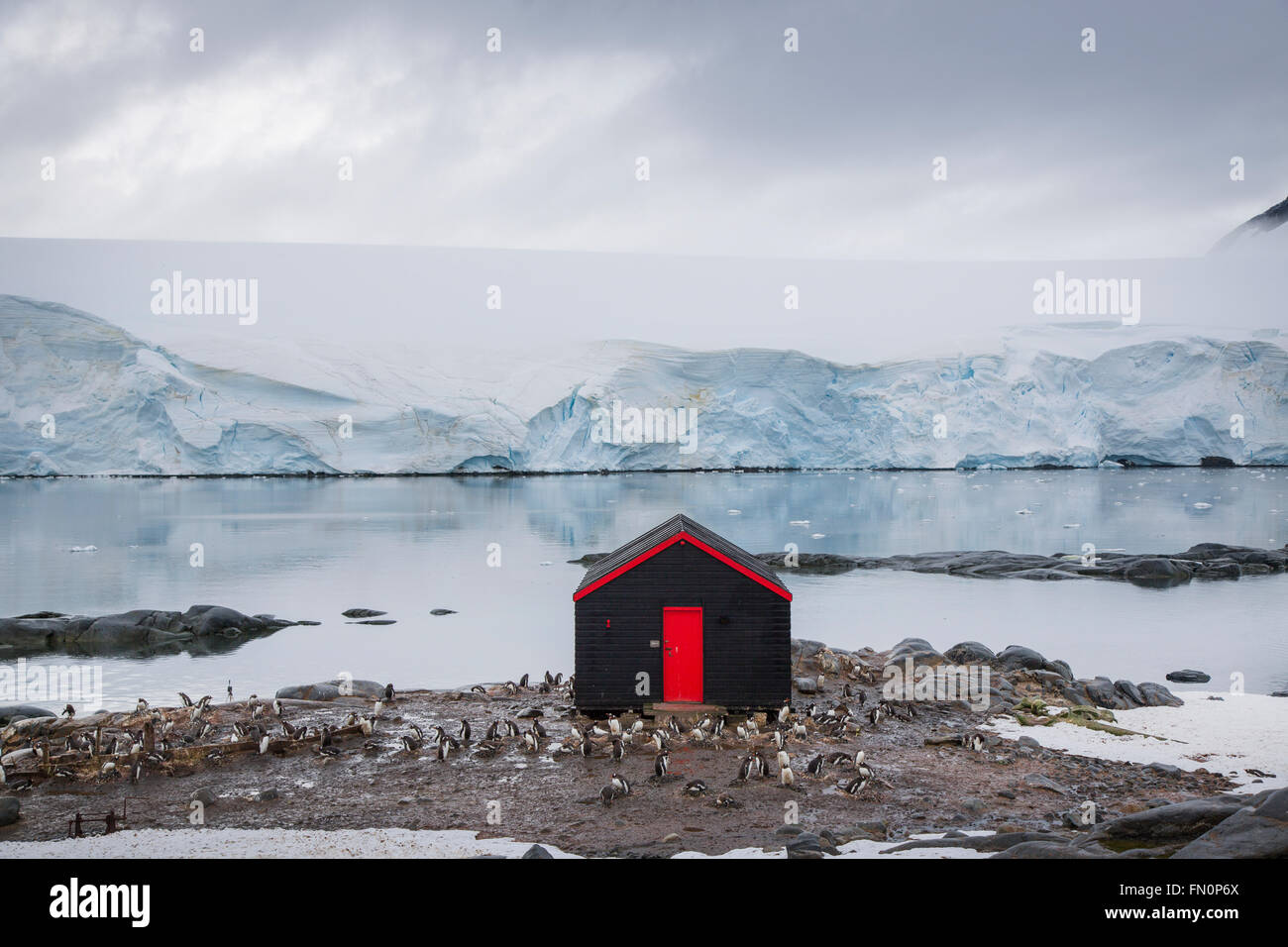 Antarctica, Antarctic peninsula, Port Lockroy, old British Base Stock ...